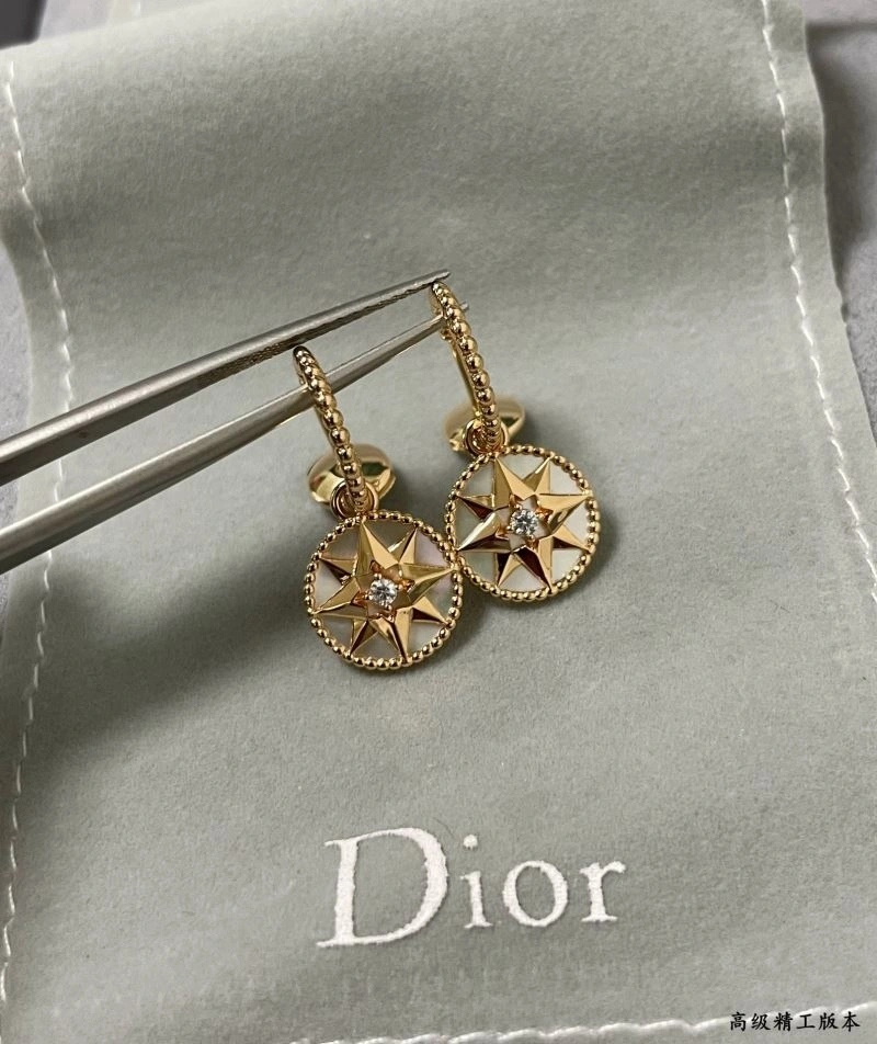 Precise copy Christian Dior Earrings