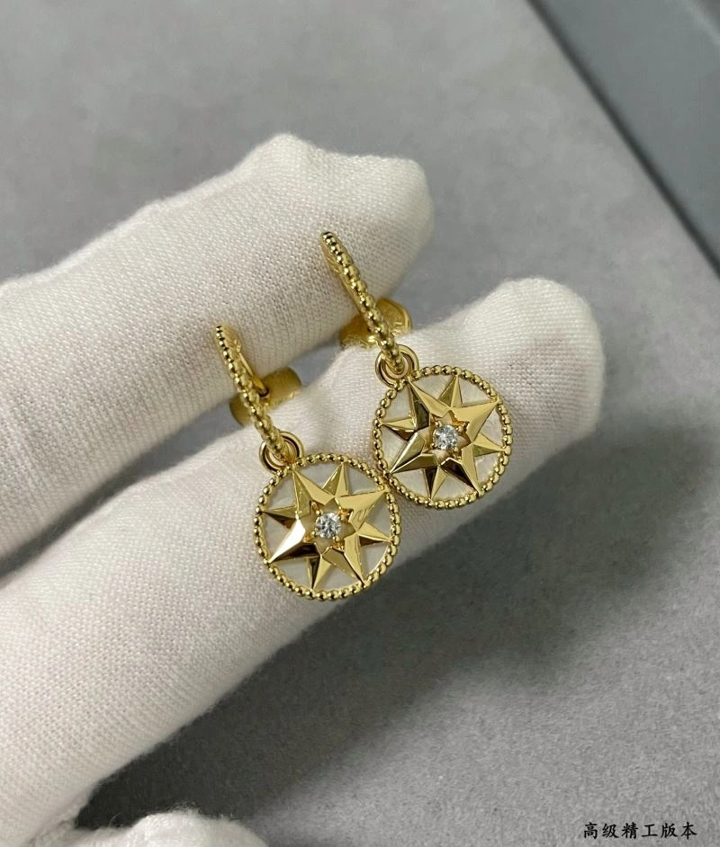 Precise copy Christian Dior Earrings