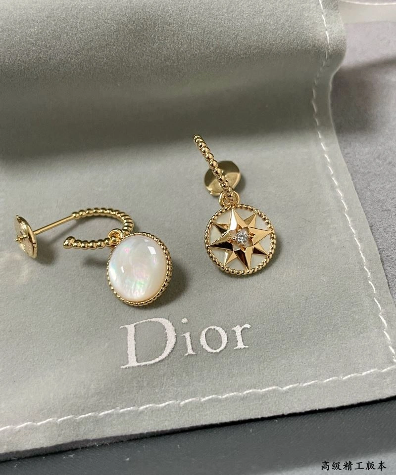 Precise copy Christian Dior Earrings