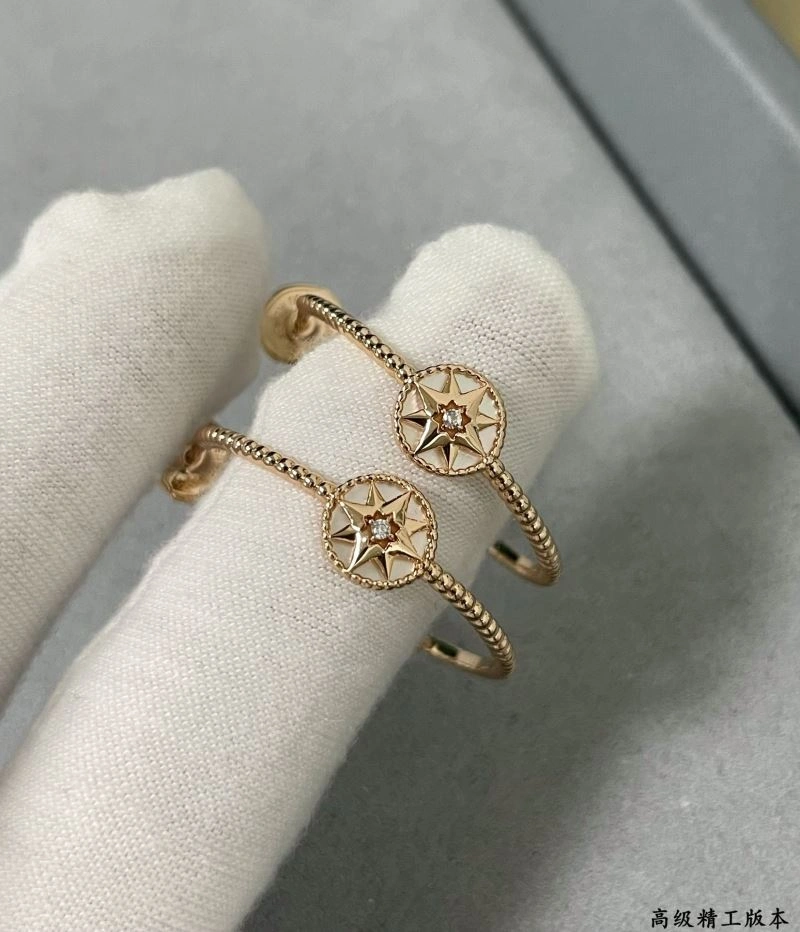 Exact replica Christian Dior Earrings