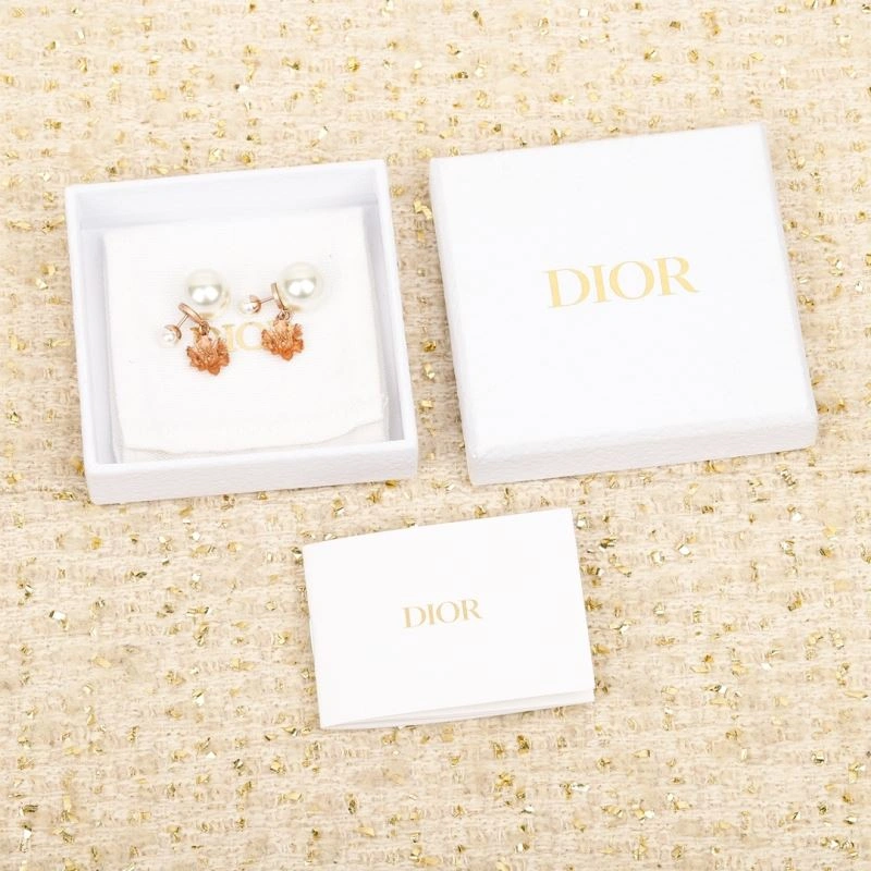 Christian Dior Earrings
