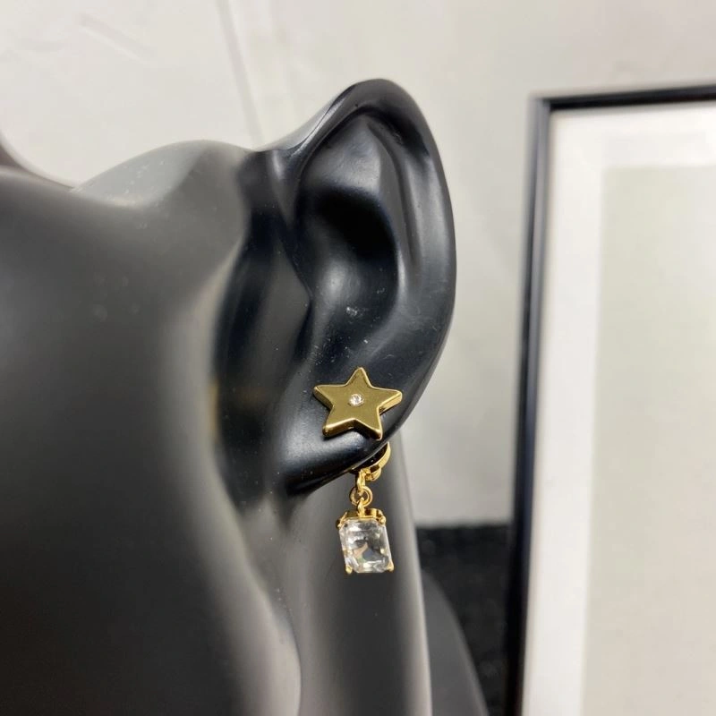 1:1 copy Christian Dior Earrings