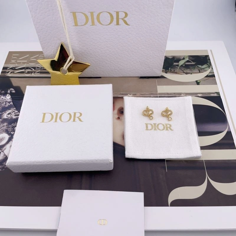 Mirror quality Christian Dior Earrings