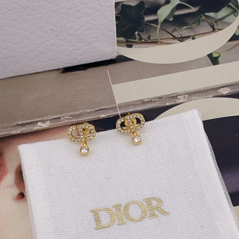 Mirror quality Christian Dior Earrings