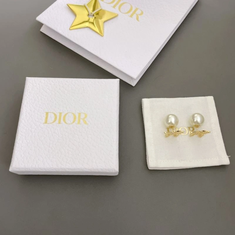 Precise copy Christian Dior Earrings