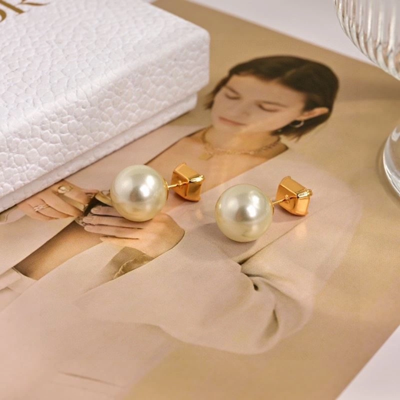High accuracy Christian Dior Earrings