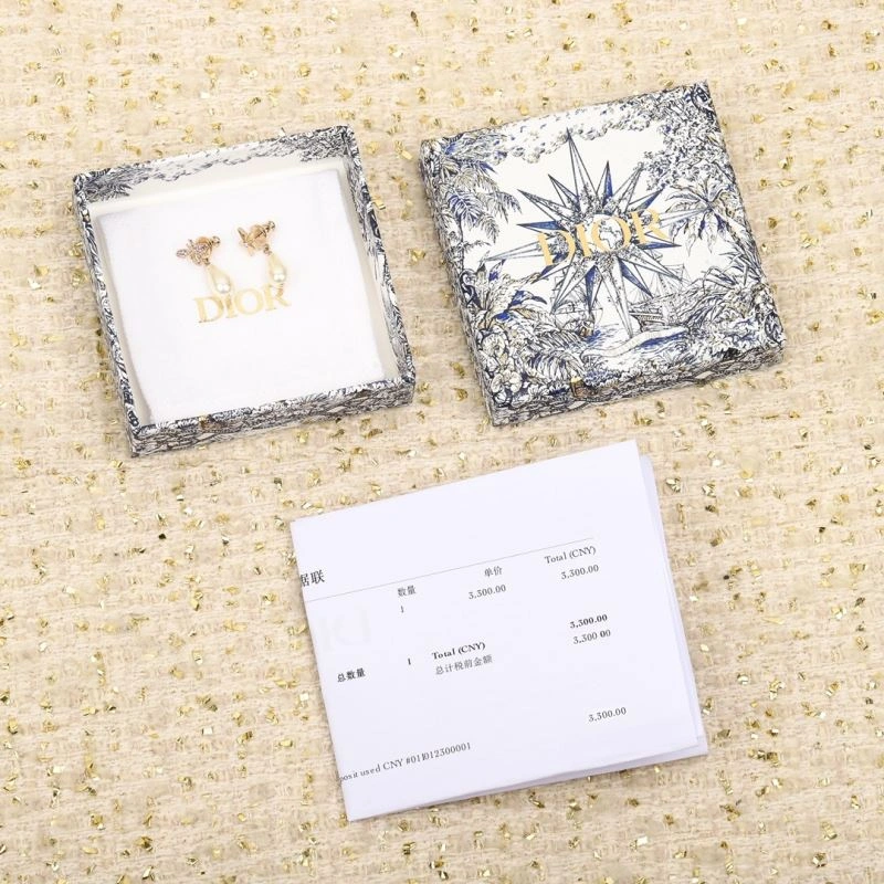Christian Dior Earrings
