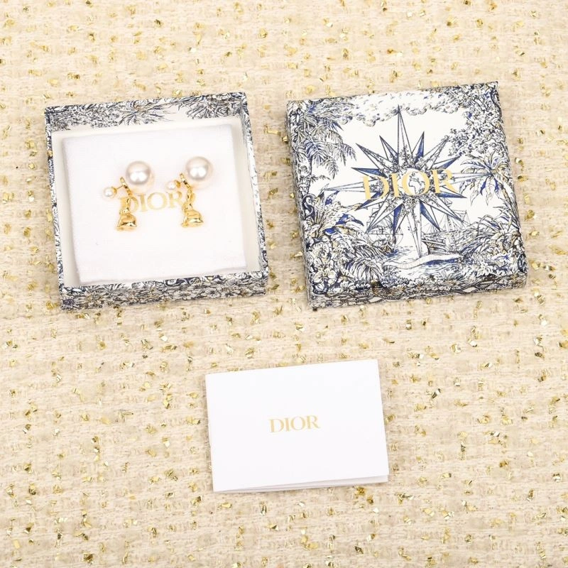 Christian Dior Earrings