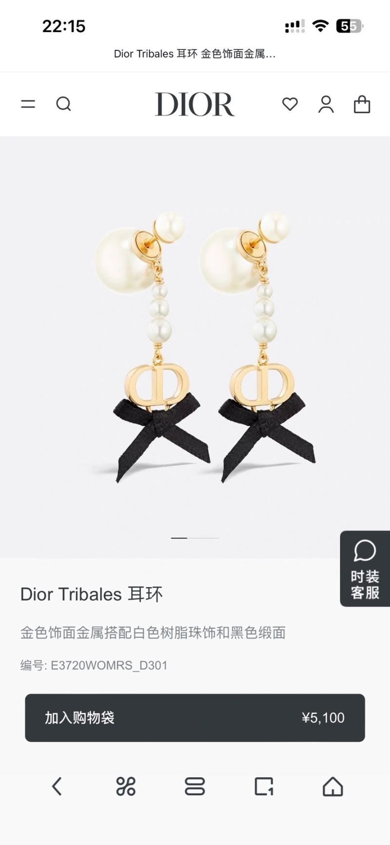 Christian Dior Earrings