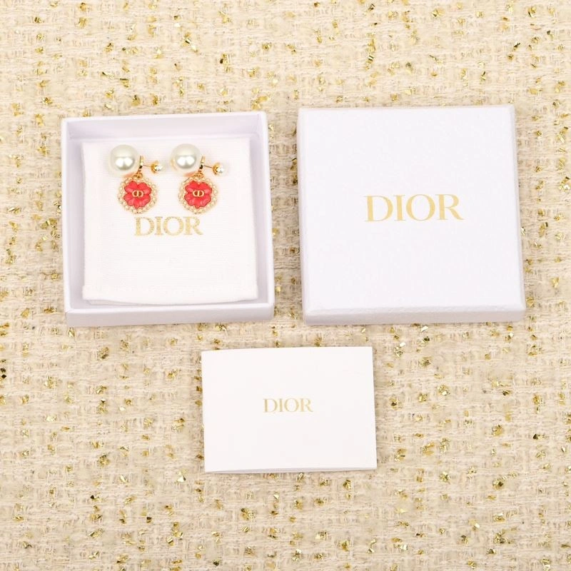 Christian Dior Earrings