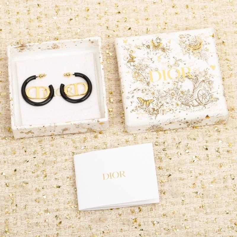 Christian Dior Earrings