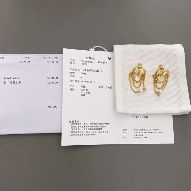 Brand-original Christian Dior Earrings