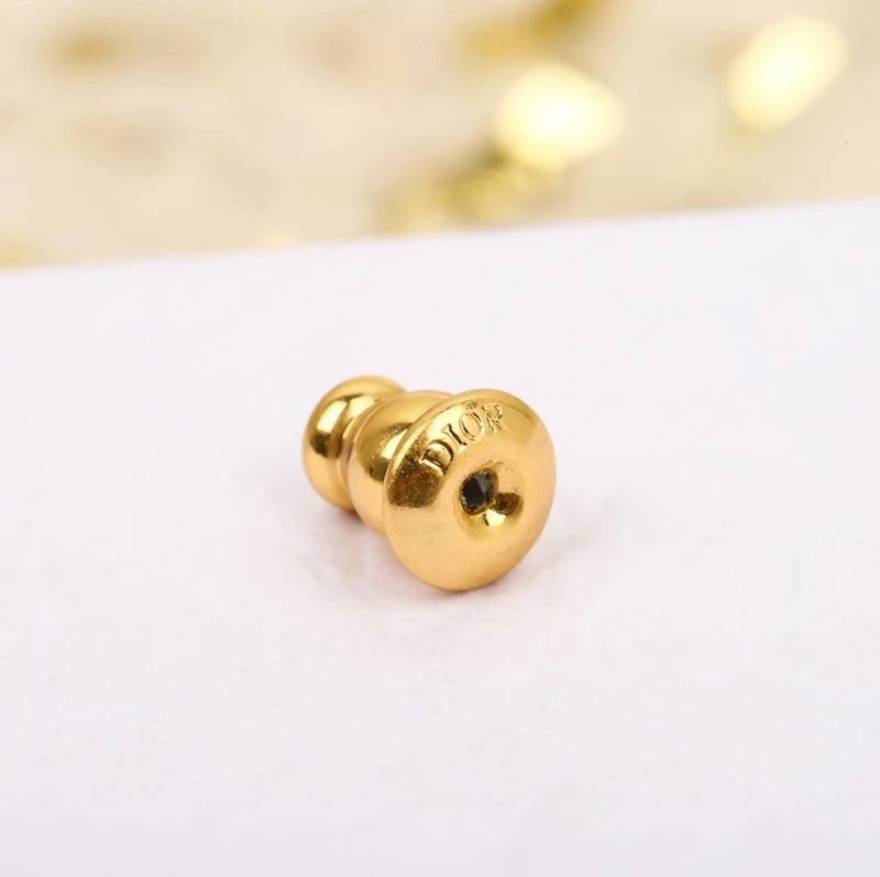 Accurate model Christian Dior Earrings