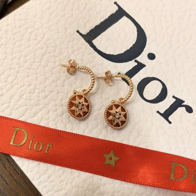 Cut-rate Christian Dior Earrings