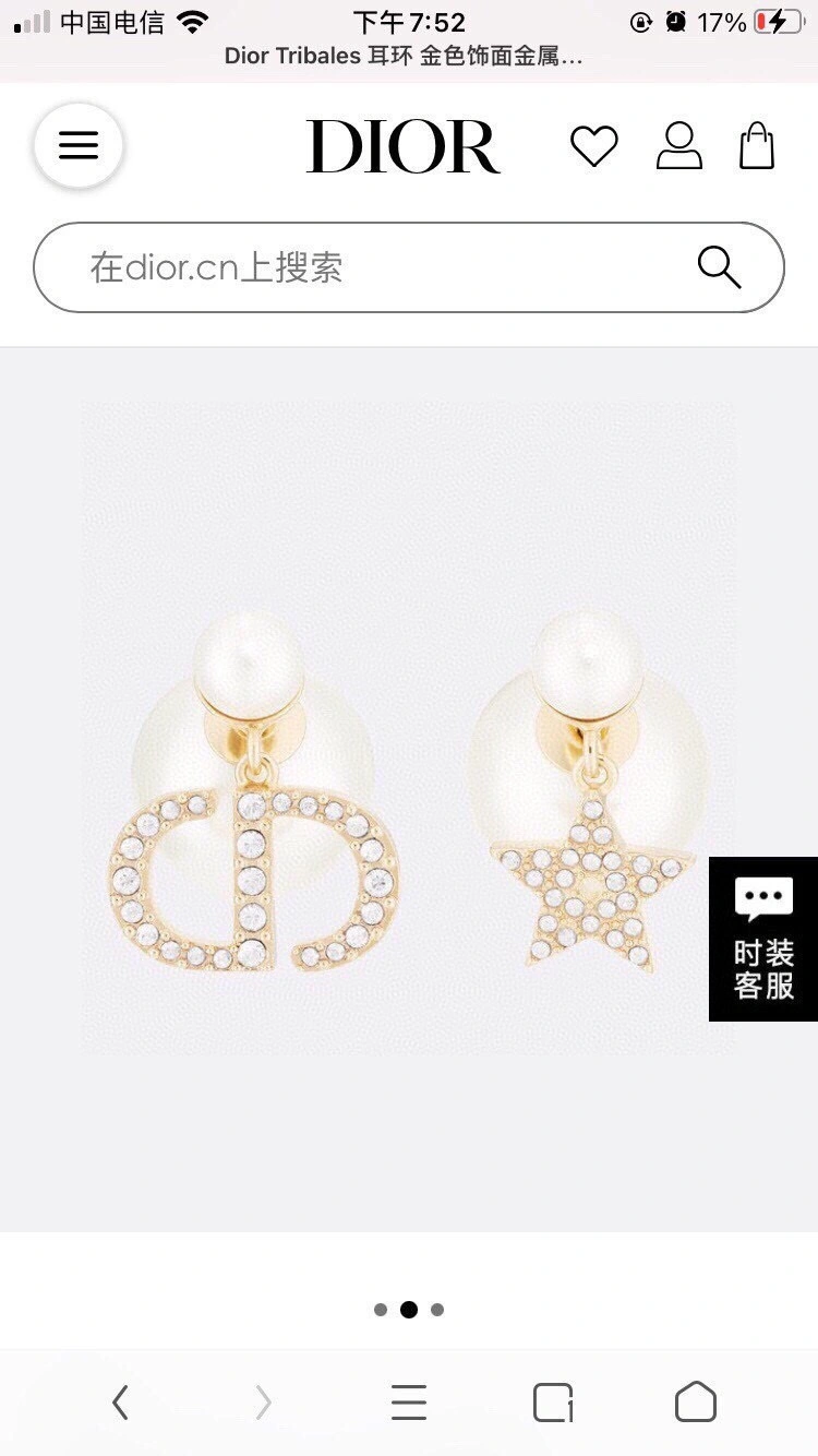 Precise copy Christian Dior Earrings