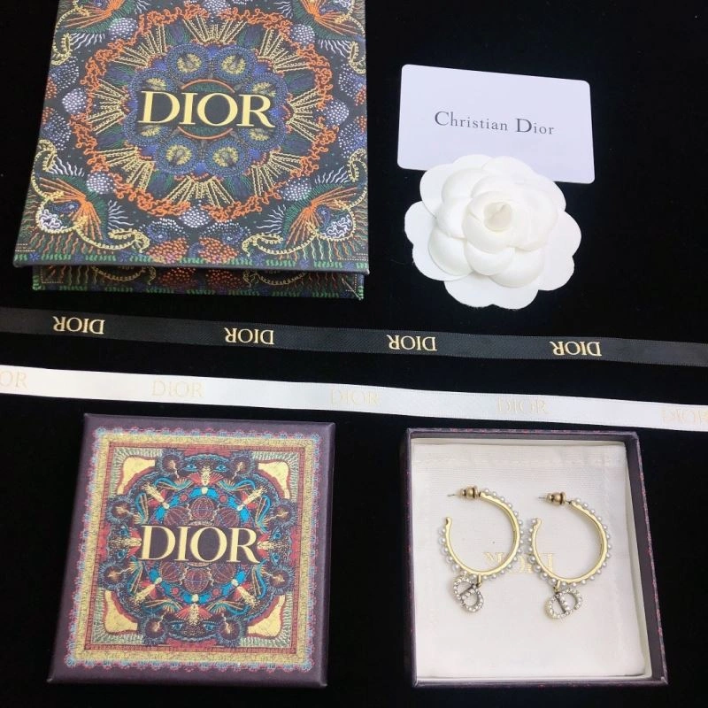 Reasonably priced Christian Dior Earrings