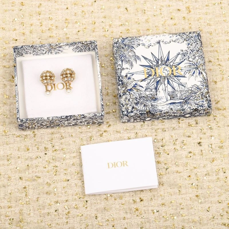 Christian Dior Earrings