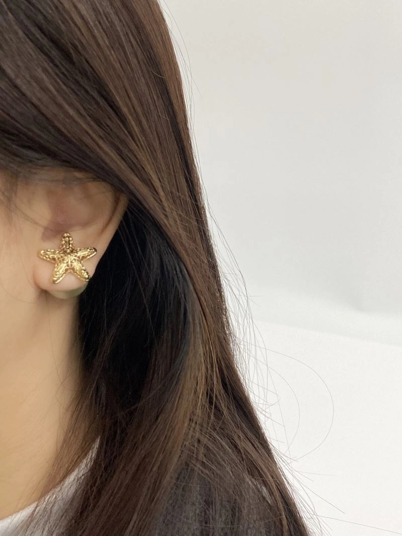 Top match Christian Dior Earrings