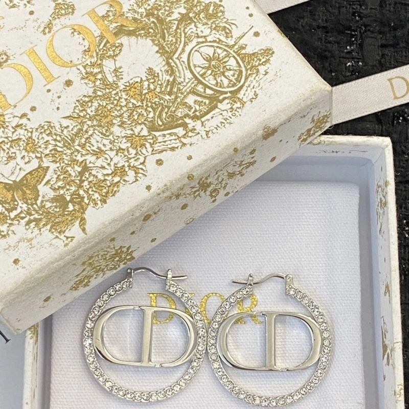 Accurate model Christian Dior Earrings