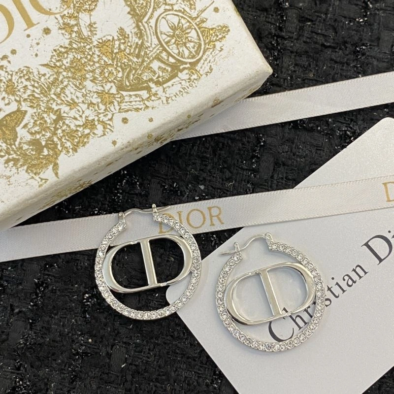 Accurate model Christian Dior Earrings