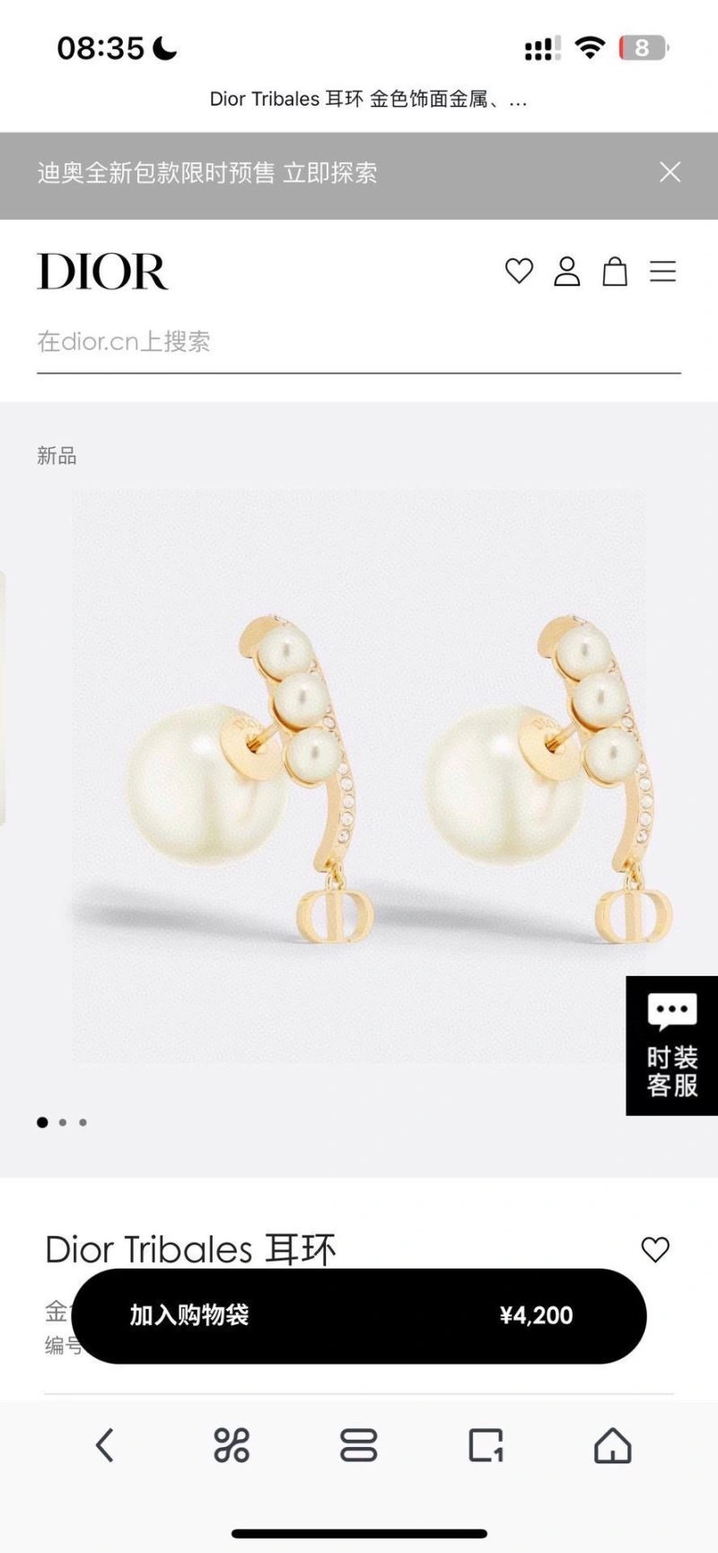 Mirror quality Christian Dior Earrings