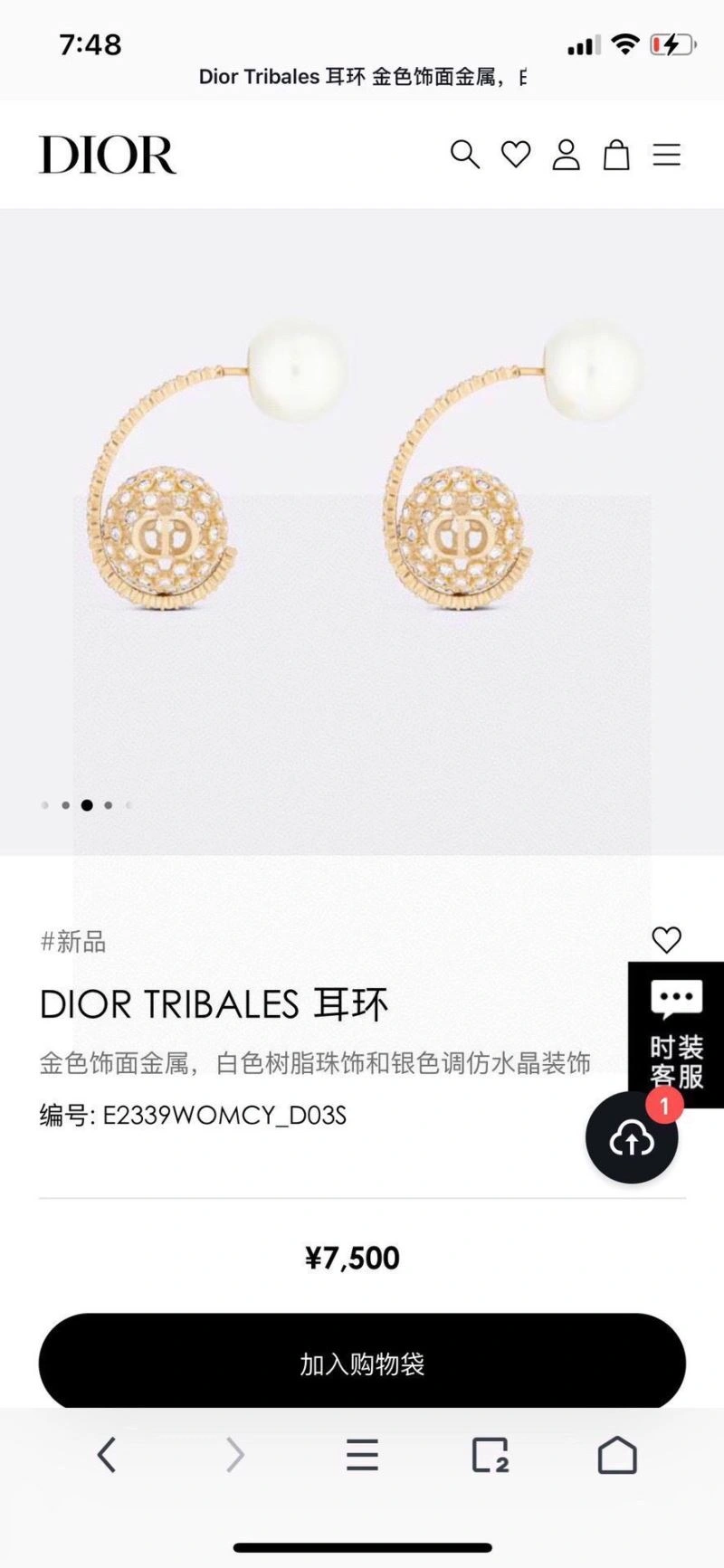 Low-cost Christian Dior Earrings