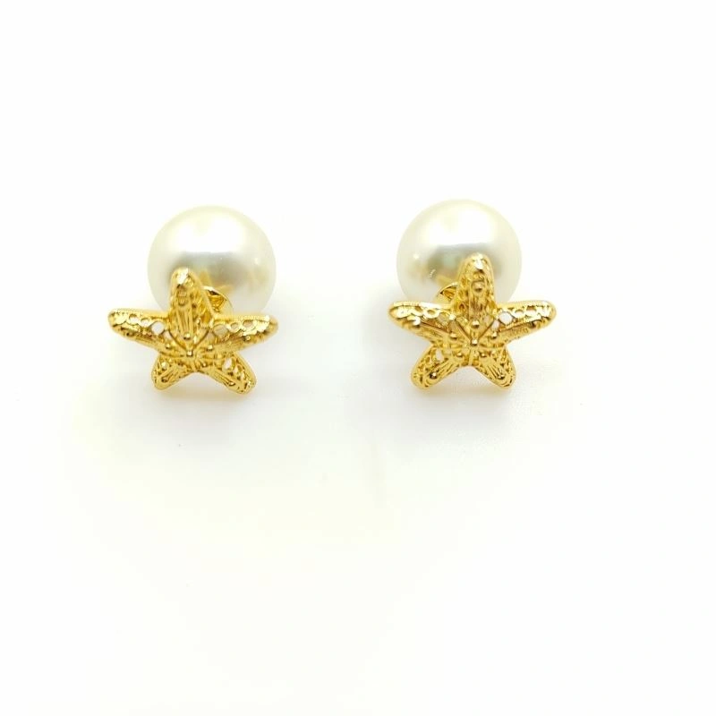 Christian Dior Earrings