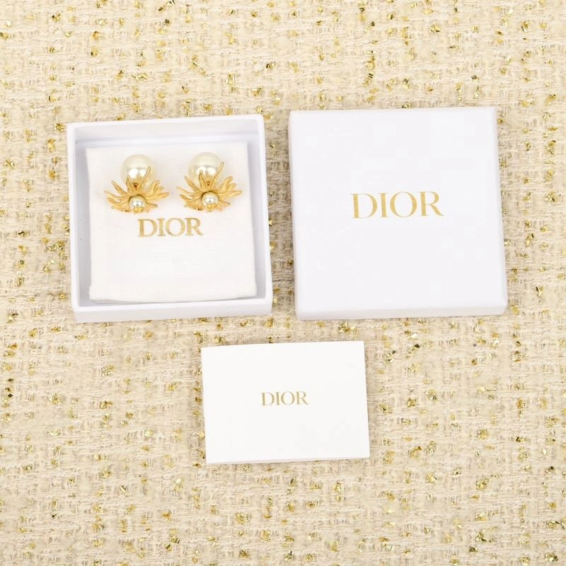 Christian Dior Earrings