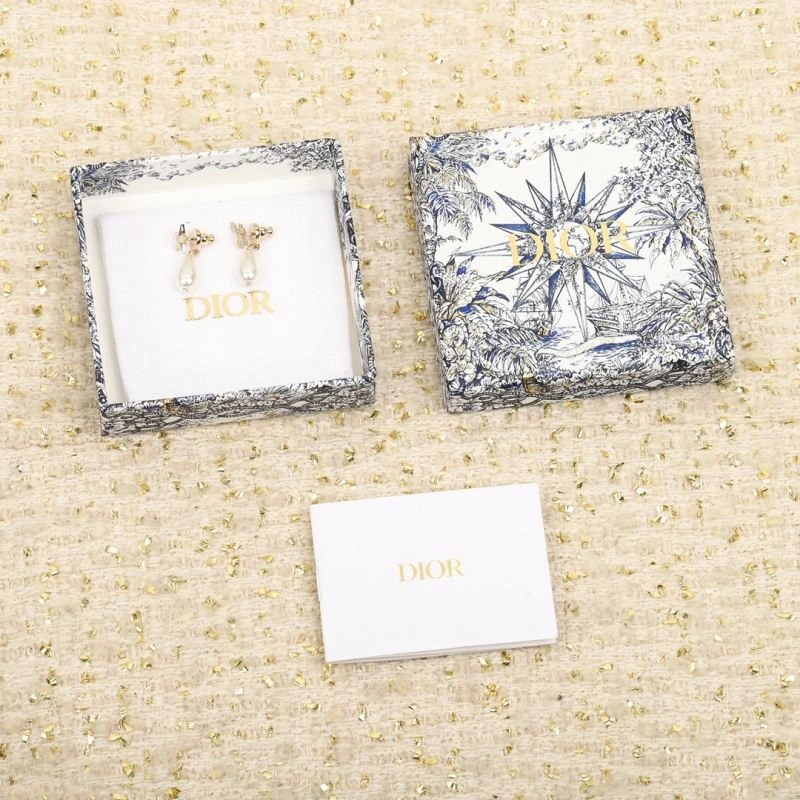 Christian Dior Earrings