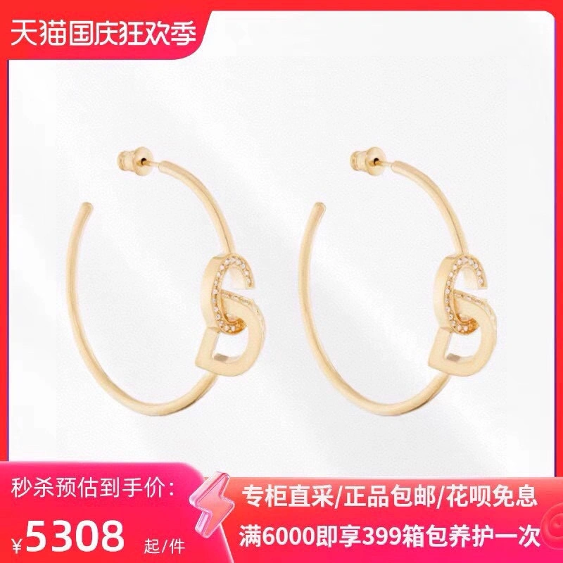 Brand-original Christian Dior Earrings