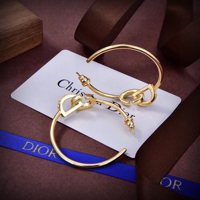 Brand-original Christian Dior Earrings
