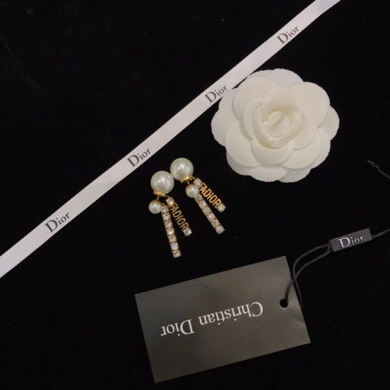 Brand-original Christian Dior Earrings