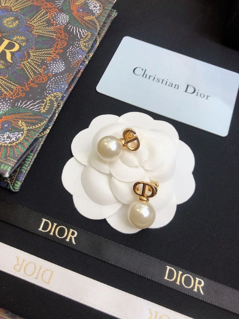 High accuracy Christian Dior Earrings