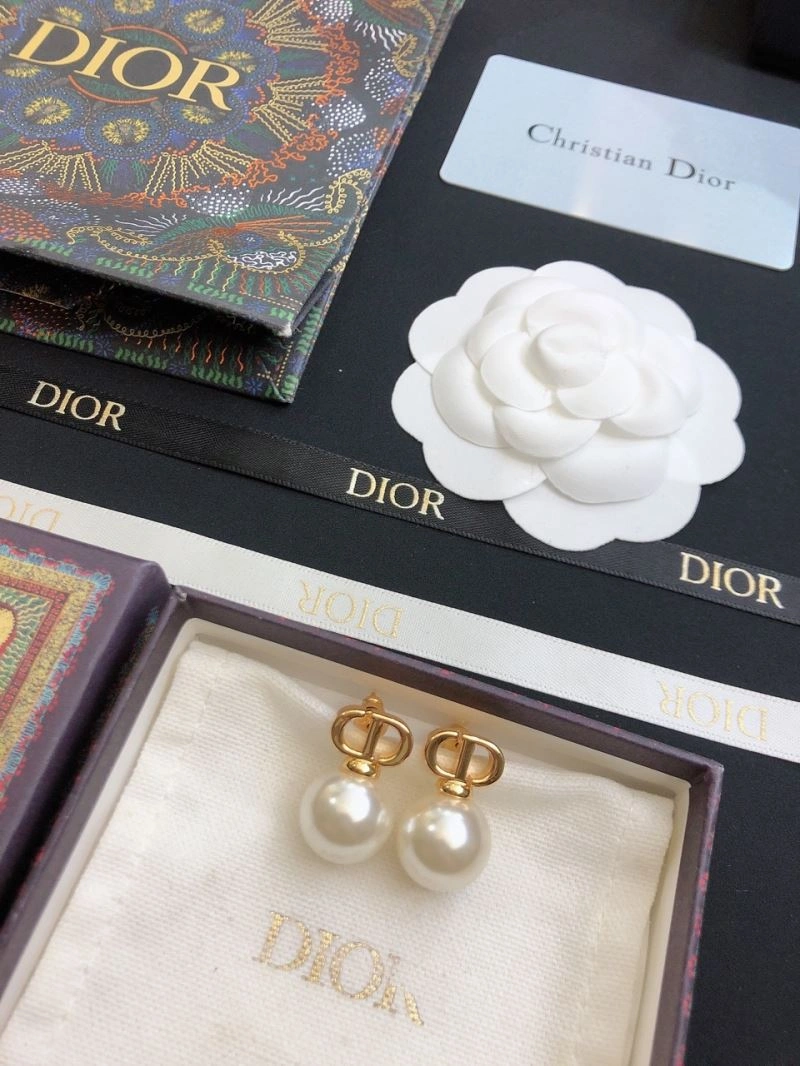 High accuracy Christian Dior Earrings