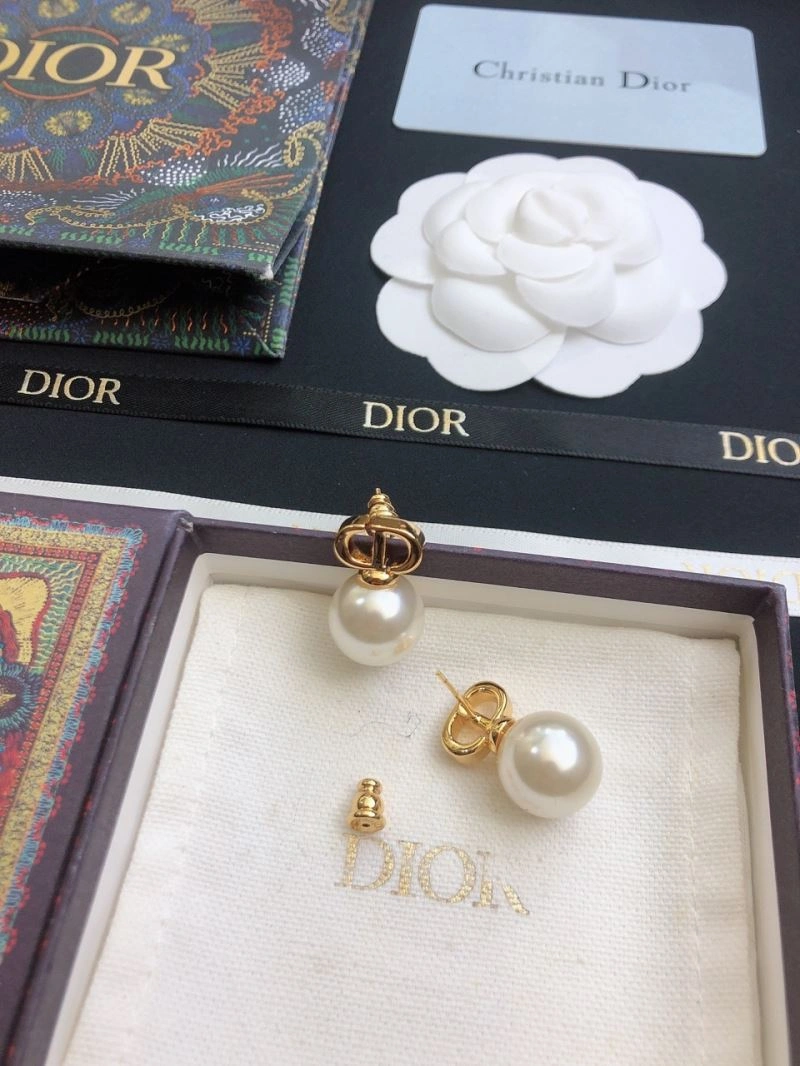 High accuracy Christian Dior Earrings