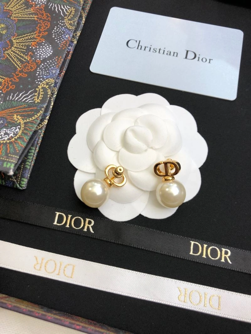 High accuracy Christian Dior Earrings
