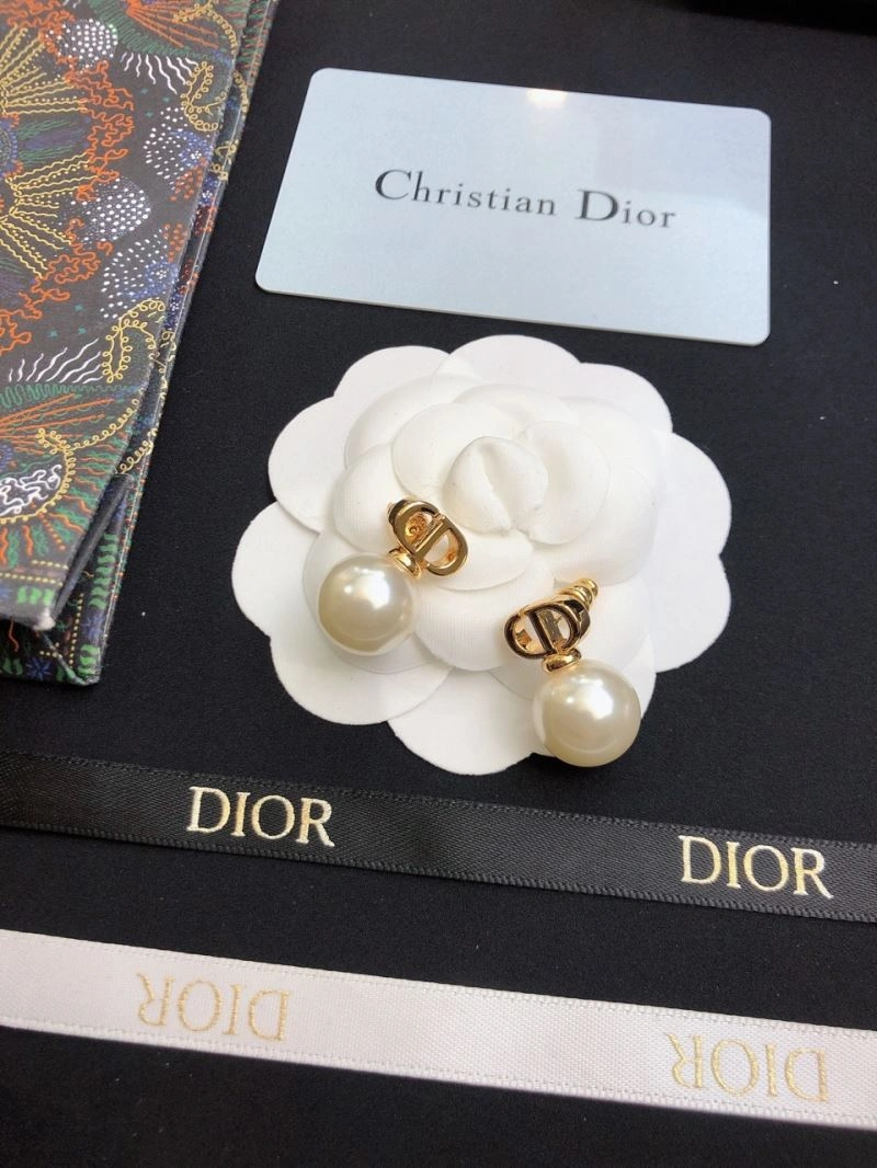 High accuracy Christian Dior Earrings