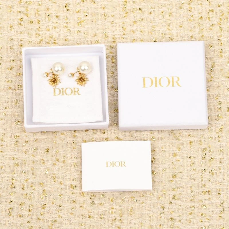 Christian Dior Earrings