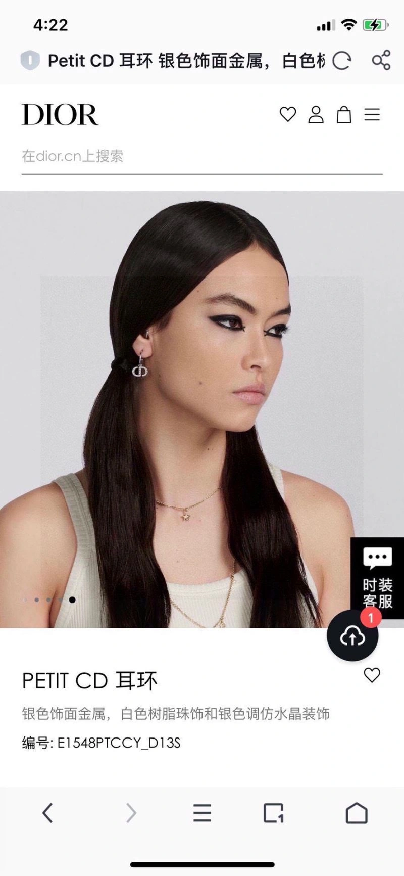 Official Christian Dior Earrings