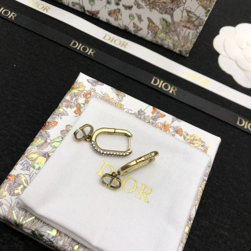 Cut-rate Christian Dior Earrings