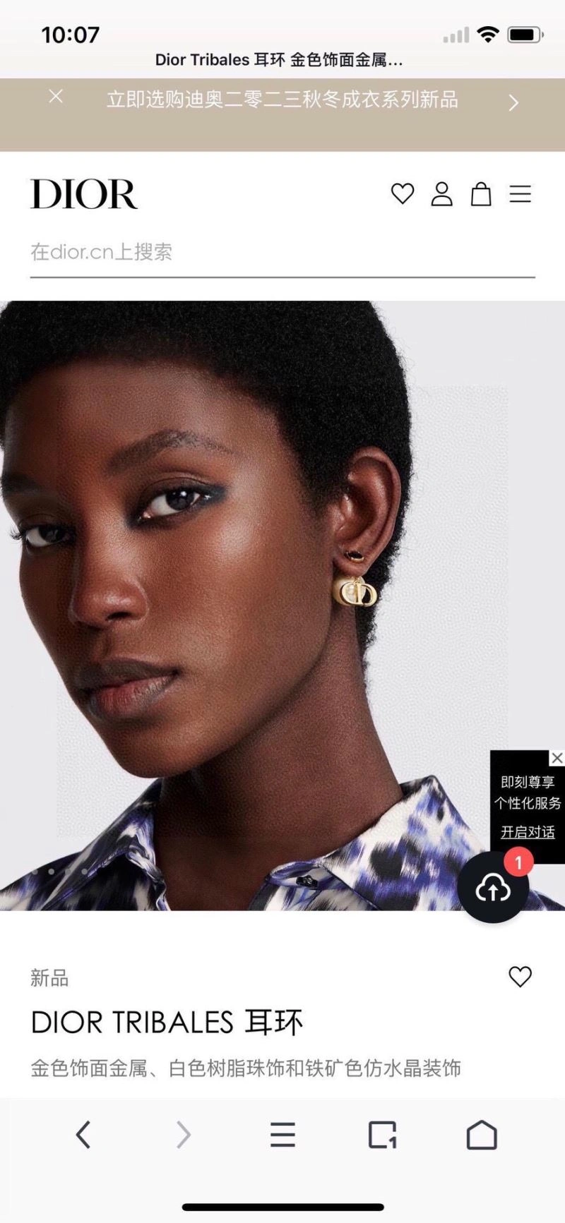Accurate model Christian Dior Earrings