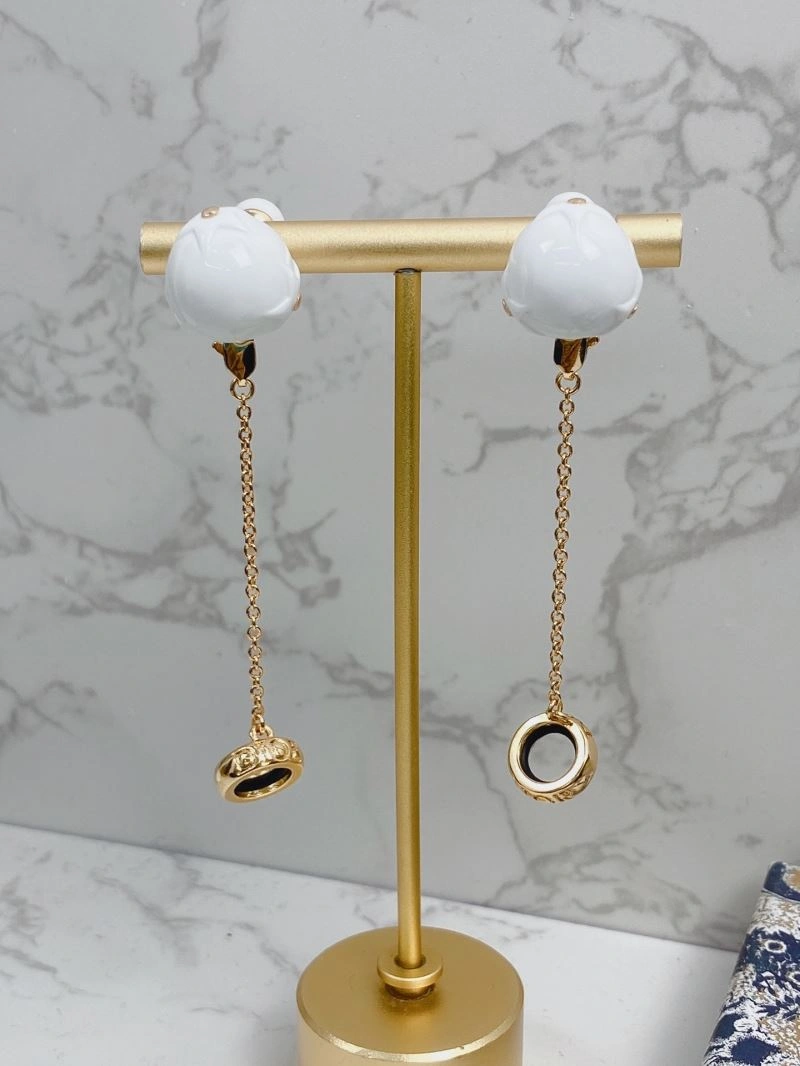 Low-cost Christian Dior Earrings