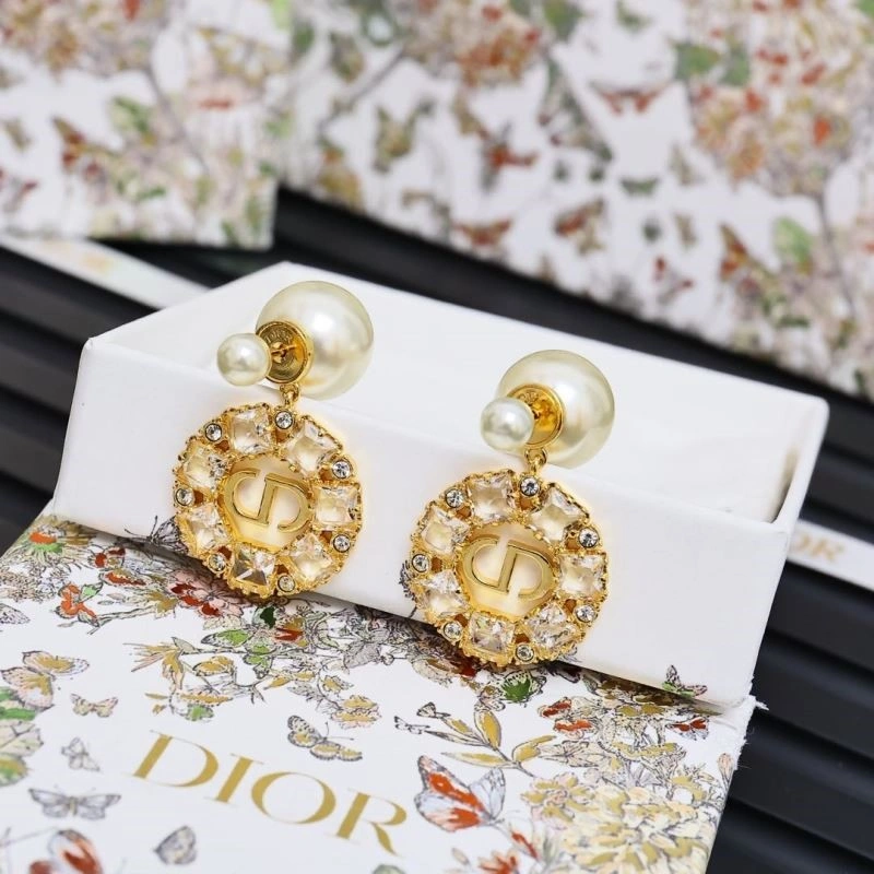 High accuracy Christian Dior Earrings
