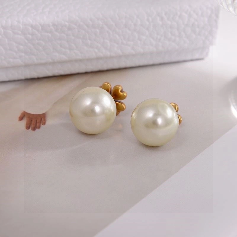Brand-original Christian Dior Earrings