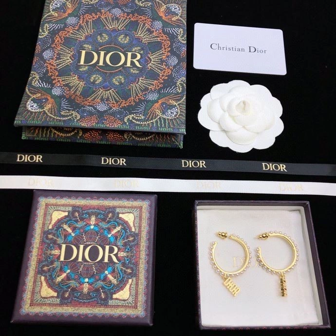 Indistinguishable Christian Dior Earrings