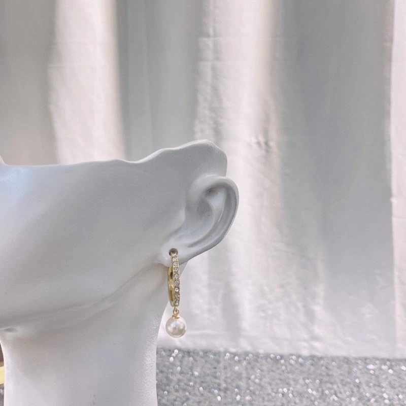Value-priced Christian Dior Earrings
