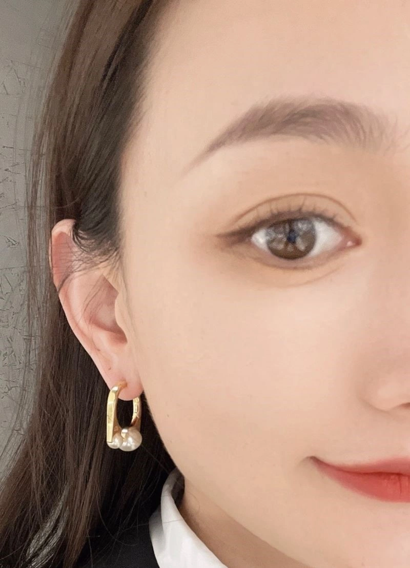 Accurate model Christian Dior Earrings