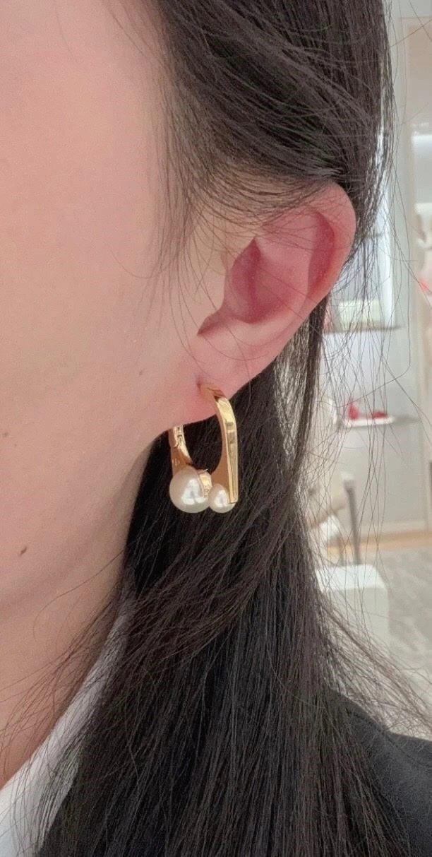 Accurate model Christian Dior Earrings