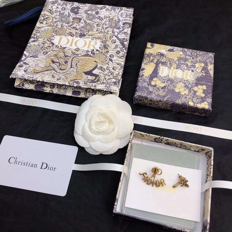 High fidelity Christian Dior Earrings