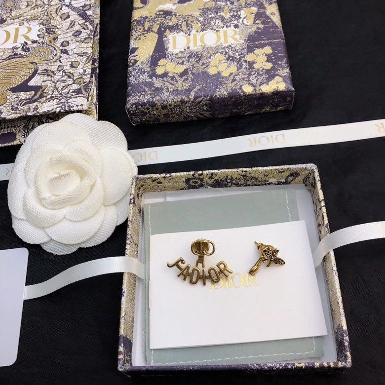 High fidelity Christian Dior Earrings